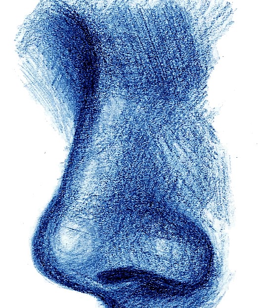 A spectrum of smells