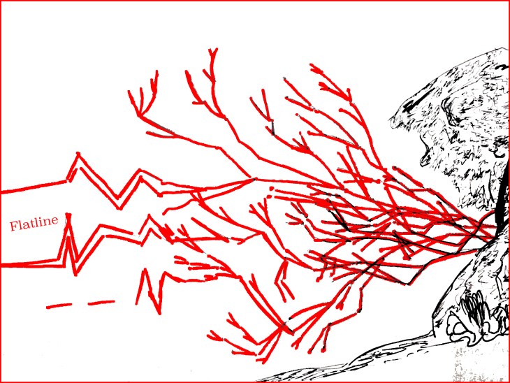 Understanding transableism: Why do some people want to be physically ...