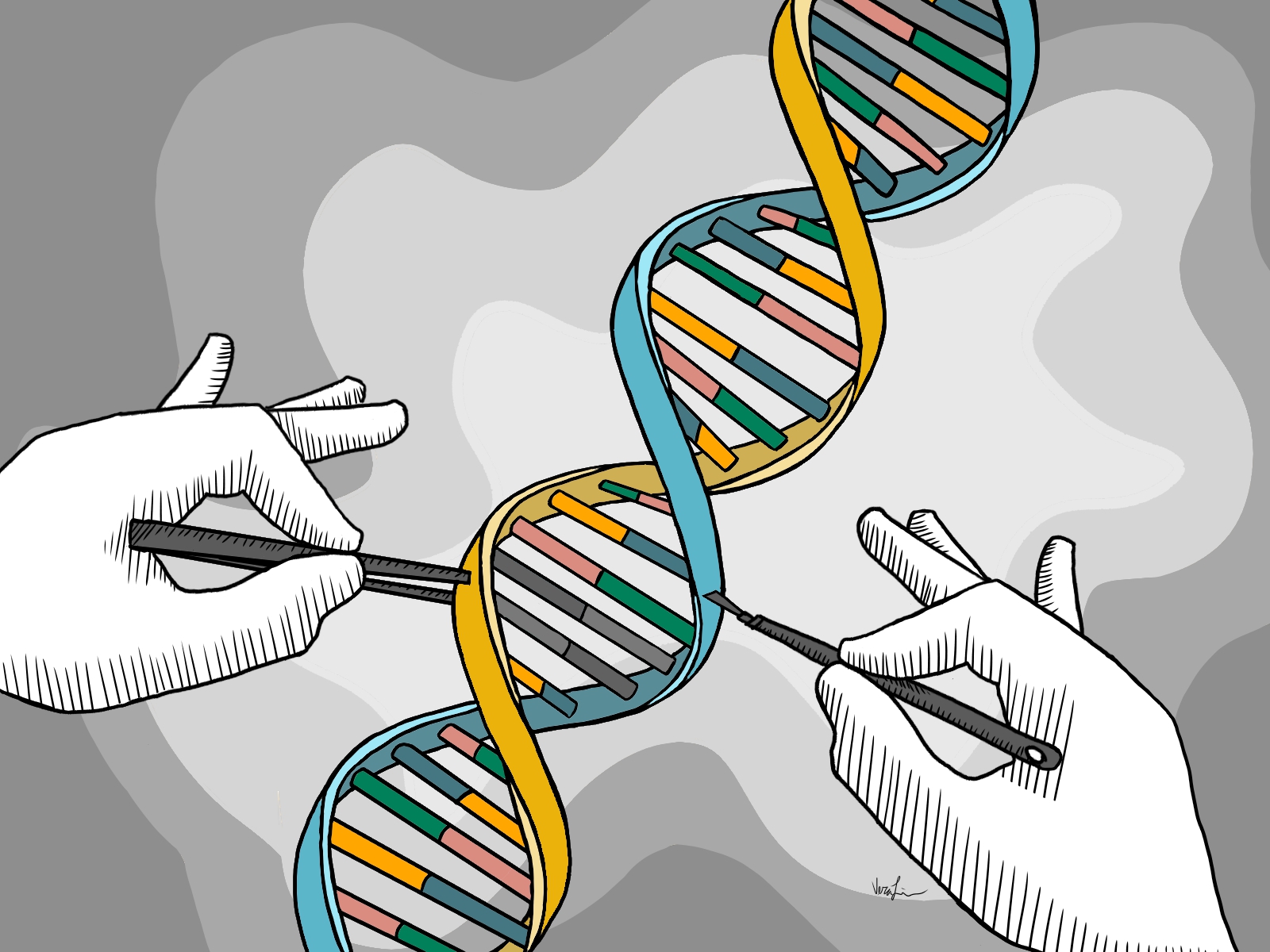CRISPR: How does gene editing influence regular life? – Kinesis Magazine