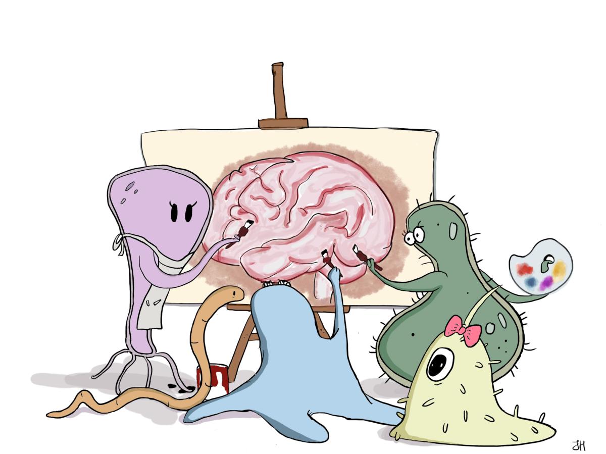 Are your gut bacteria controlling your thoughts?