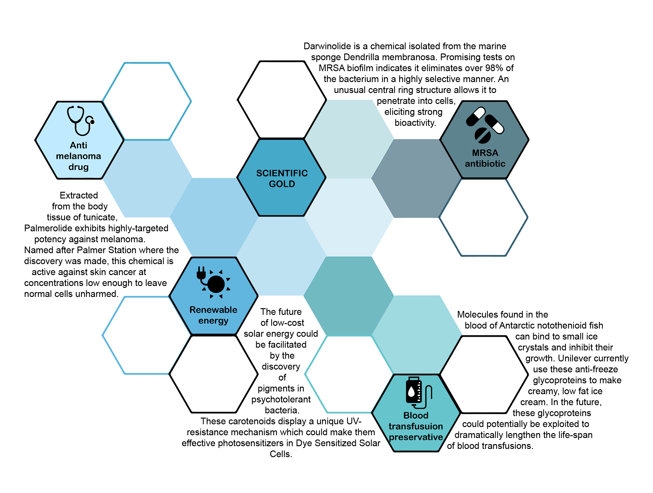 Frozen assets: The Antarctic’s booming bioindustry