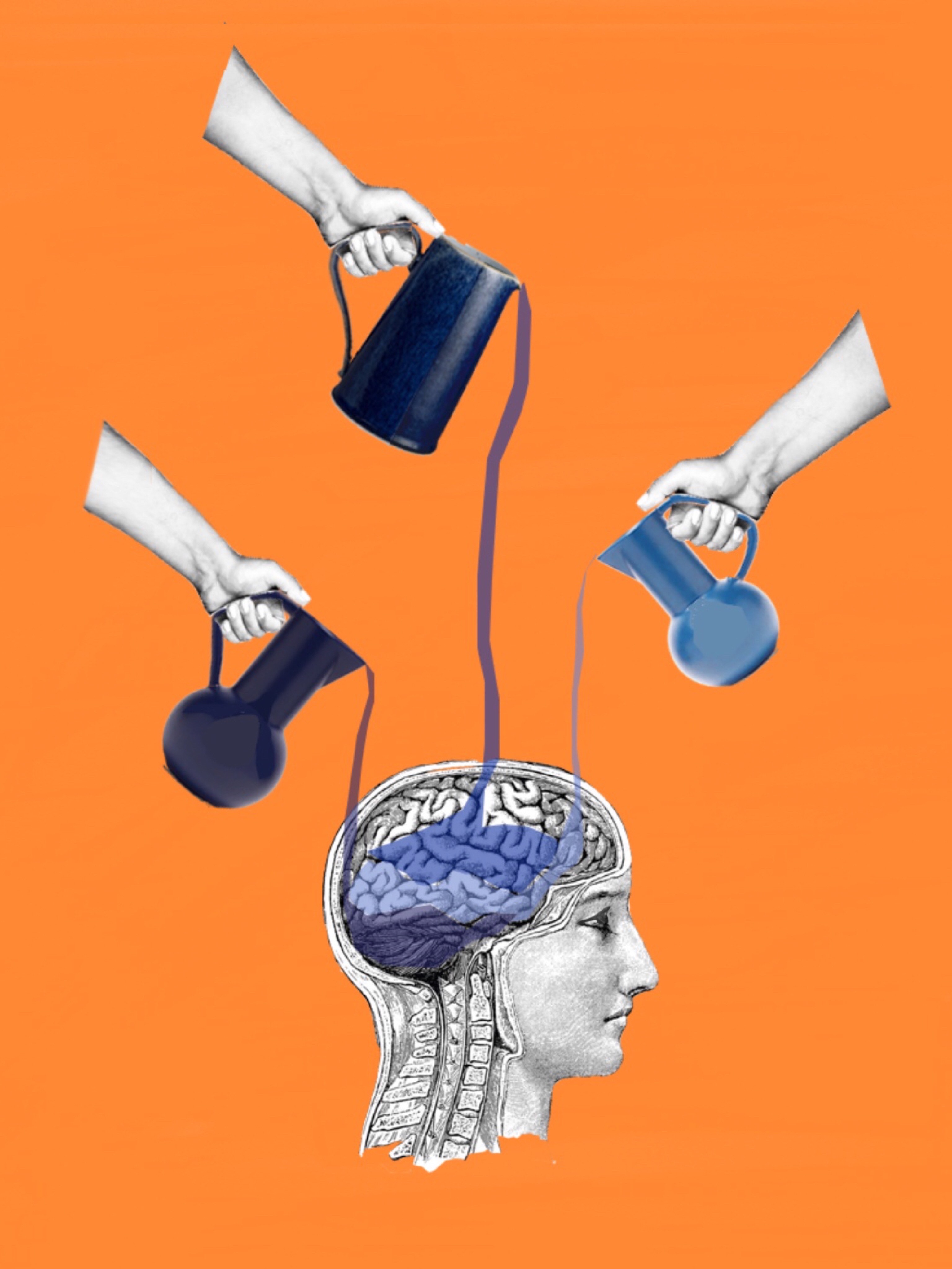 Behind stereotypes: The interplay between culture and cognition