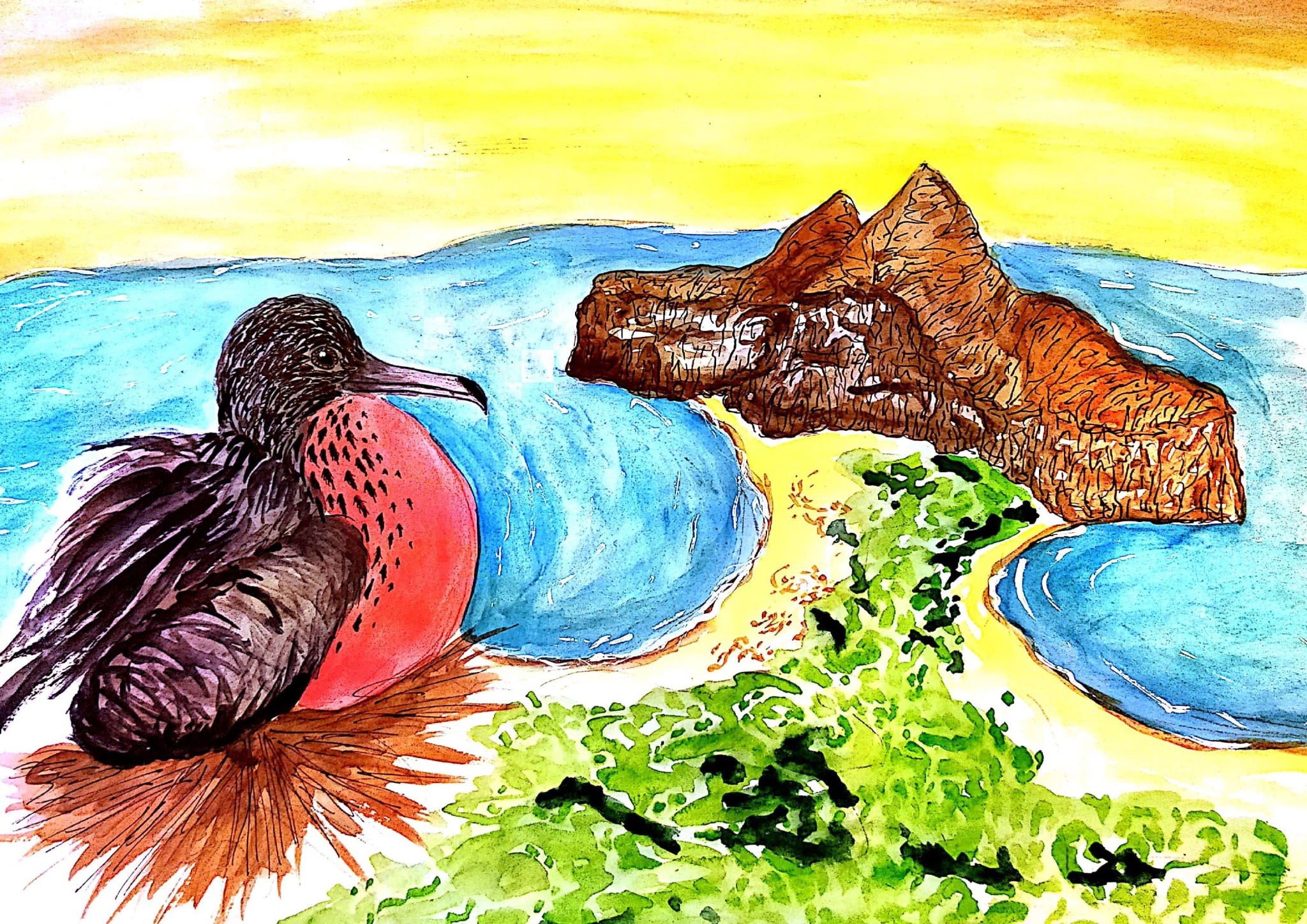 The Galápagos Islands: The birth of its biodiversity and the importance ...