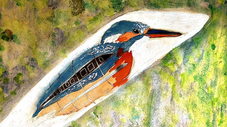 Understanding transableism: Why do some people want to be physically ...