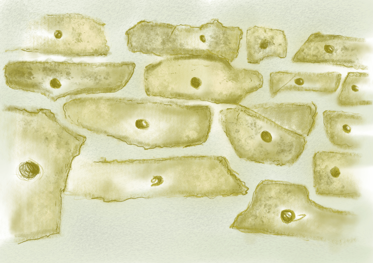 Turning Back Time: a Technique that Reverses the Age of Skin Cells