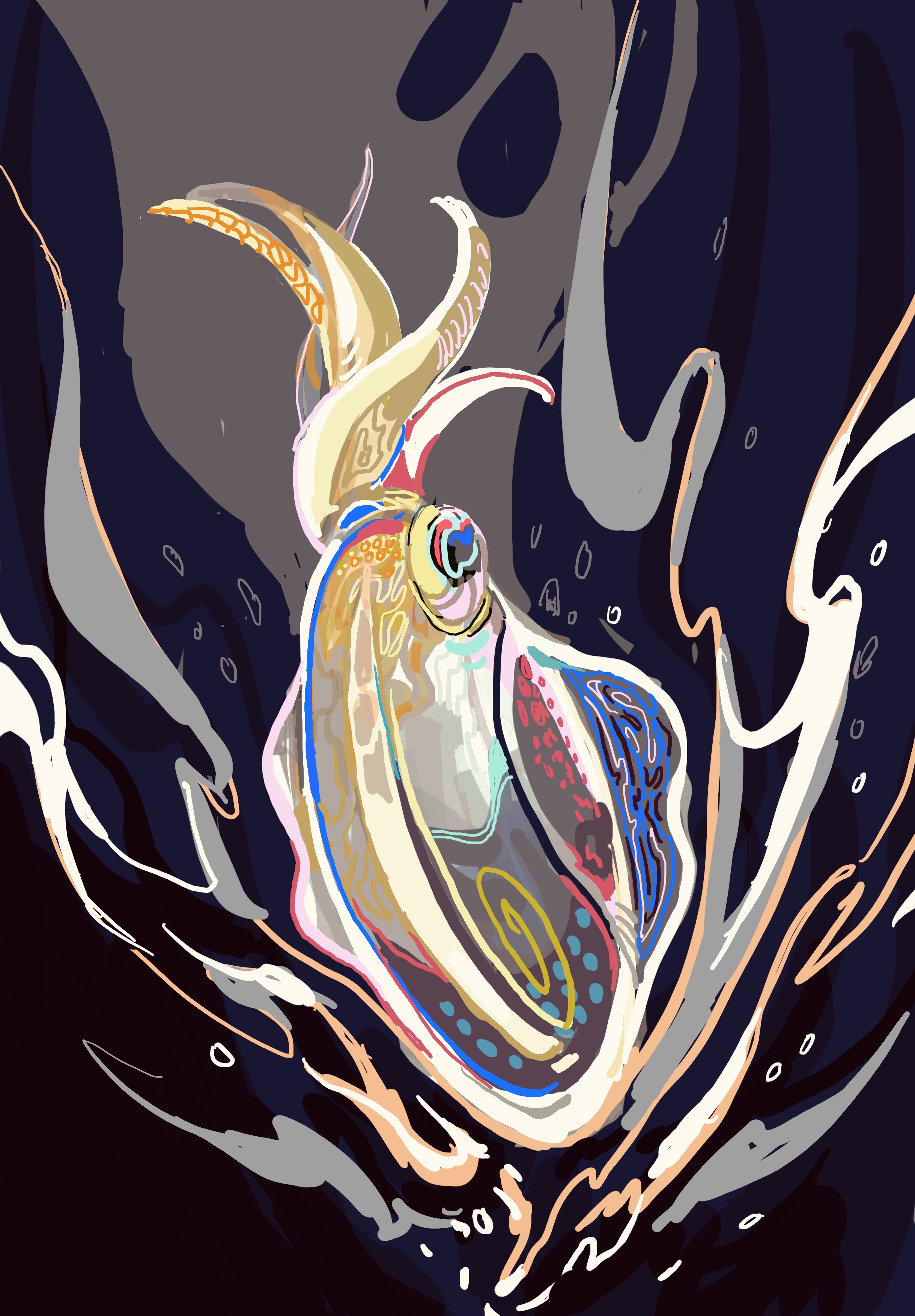 Cryptic Cephalopods: The Ecological Basis of Camouflage