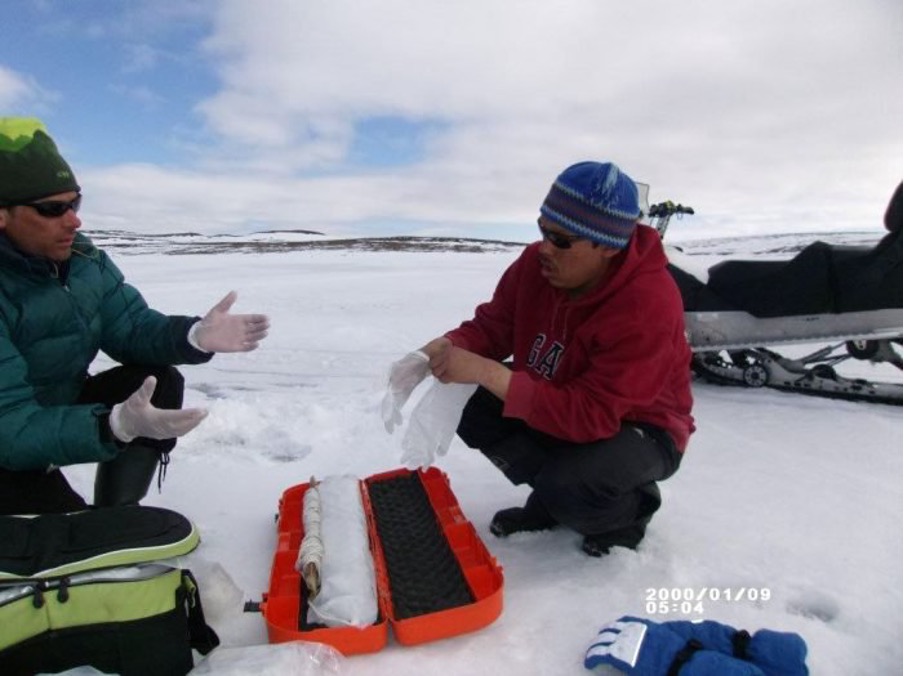 How can traditional Inuit knowledge help advance modern ecological ...