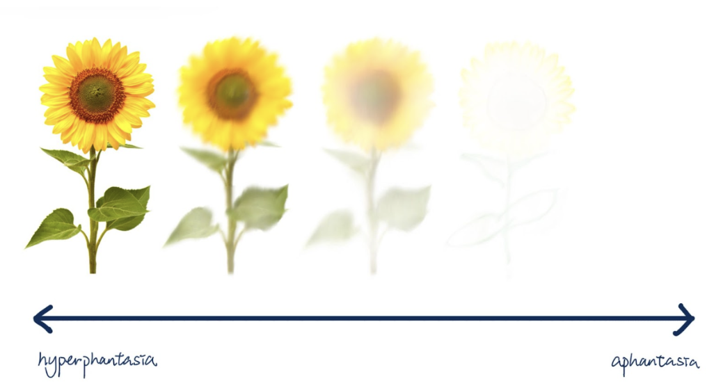 The Science Behind Aphantasia: Do Minds Without Pictures Really Exist?